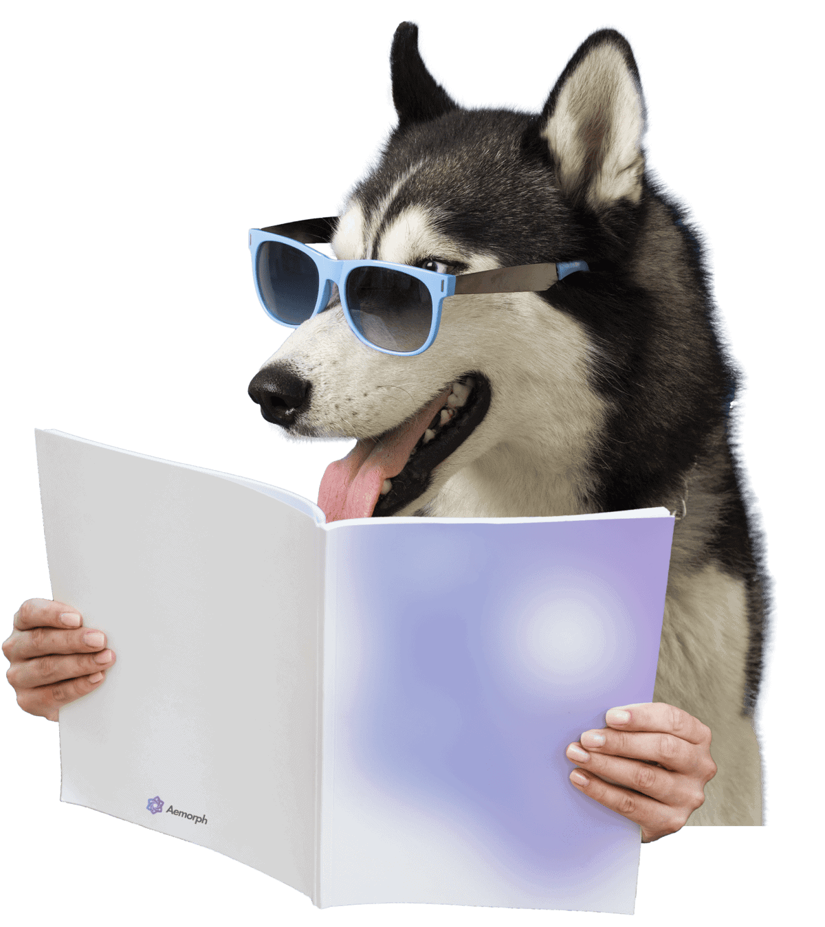 LSI Keywords Là Gì? Tối Ưu SEO Hiệu Quả Bằng Từ Khoá LSI | Aemorph